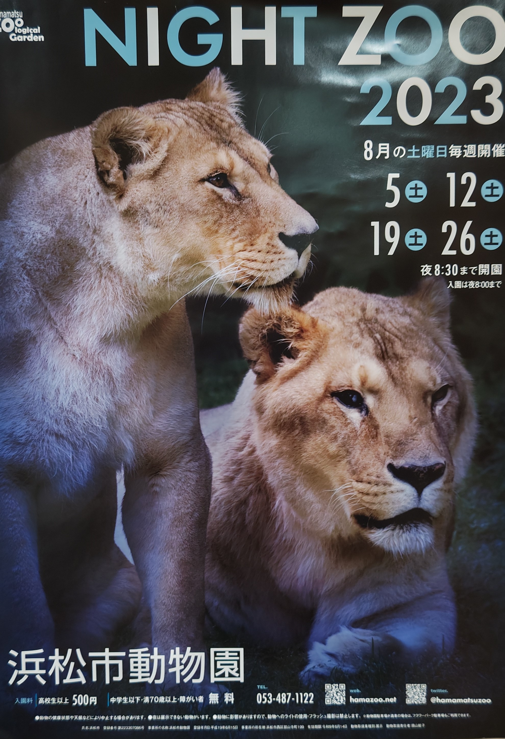 浜松市動物園「NIGHT ZOO 2023」｜ウェルシーズンのスタッフによる浜松観光お役立ち情報発信メディア【ウェルマガ】｜浜松・浜名湖周辺の温泉ならホテルウェルシーズン浜名湖【公式】